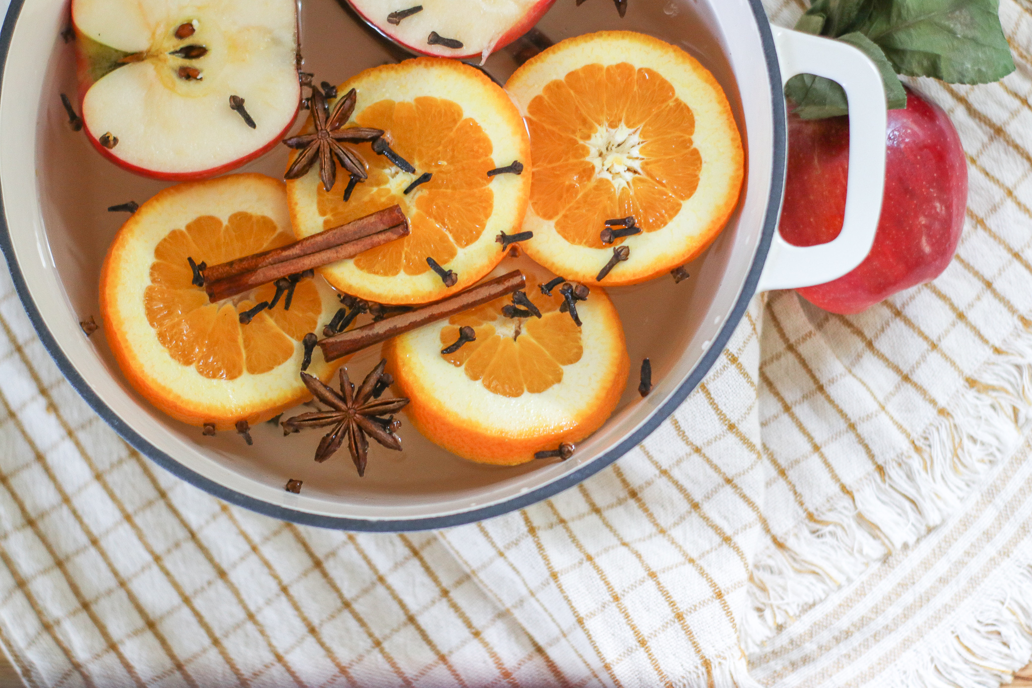 Spiced Fall Stove Top Potpourri - The Homestyle Cottage